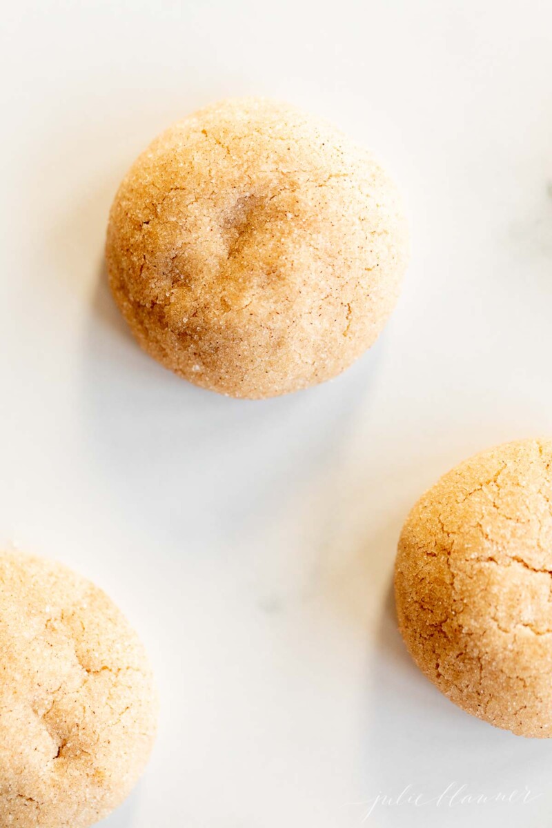 Classic Cinnamon Cookies | Easy Cookie Recipes